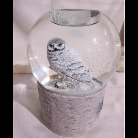 PartyLite | Accents | Nib Snow Owl Motion Snow Globe Tea Light | Poshmark